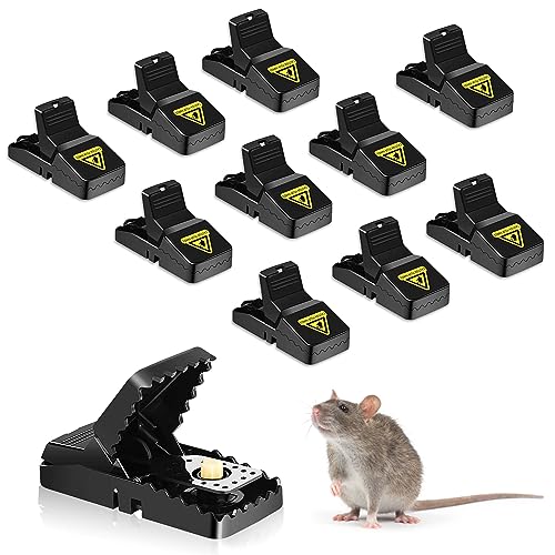 Topcat Mausefalle – Die 16 besten Produkte im Vergleich