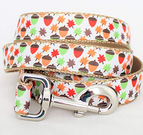 32 Dog Leashes for Fall
