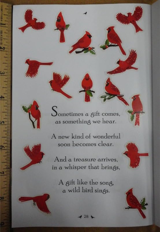 Amazon.com: Outus 480 Pcs Christmas Cardinal Stickers for Kids Bulk ...