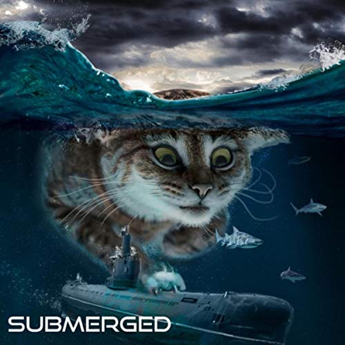 Amazon.com: Submerged : Tom Schipper: Digital Music