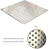 Amazon.com: Sunrise Kitchen Supply Stainless Steel Fryer Screen (Solid ...