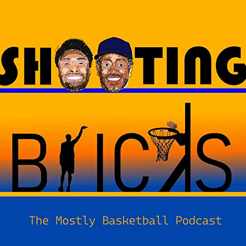 Shooting Bricks : Meddysin and Paki: Amazon.in: Audible Books & Originals