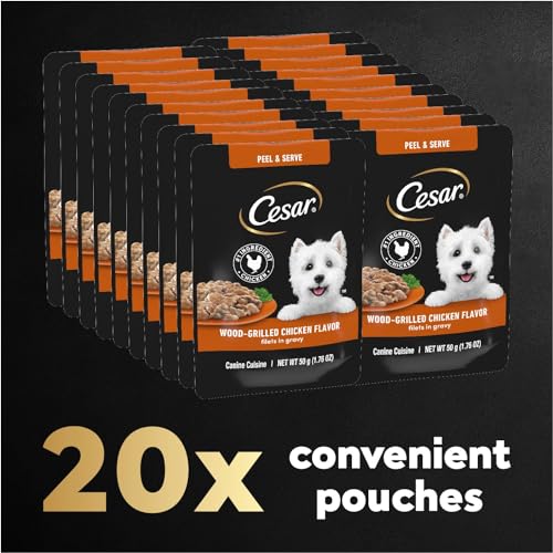 Cesar Filets In Gravy Wet Dog Food Wood-Grilled Chicken Flavor, 1.76 Oz ...