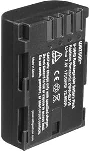 Amazon.com : Watson DMW-BLF19 Lithium-Ion Battery Pack (7.4V, 1750mAh) (4 Pack) : Electronics