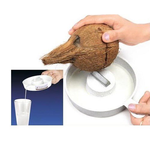 Buy SHOP ONLINE Coconut Beaker Cracker (Colors May Vary) Online at Low ...