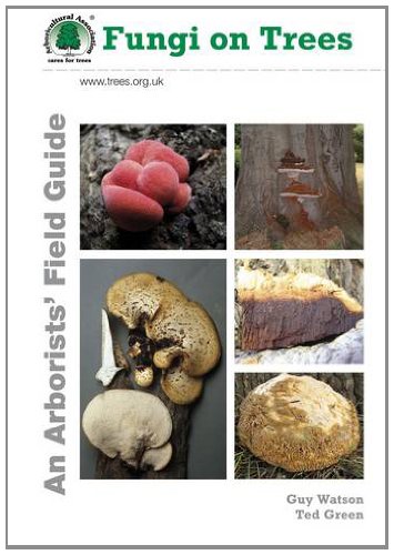 Fungi on Trees: An Arborists' Field Guide: Amazon.co.uk: 9780900978555 ...
