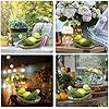 Amazon.com: Solar Frog Garden Decor Outdoor Statue - Frogs Umbrella LED ...