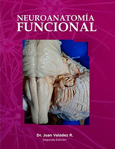 Amazon.com: Neuroanatomía Funcional (Spanish Edition): 9798662740808 ...