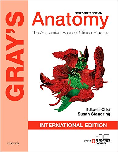 Gray's Anatomy: The Anatomical Basis of Clinical Practice: Standring ...