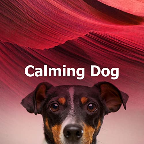 Amazon Music Unlimited - Calm Dog Music 『Calming Dog』