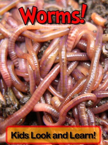 Amazon.com: Worms! Learn About Worms and Enjoy Colorful Pictures - Look ...