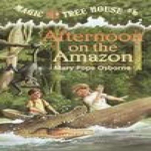 Afternoon on the Amazon (Magic Tree House, No. 6): OSBORNE, MARY POPE ...