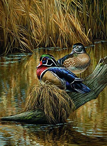 10 Best Wildlife Jigsaw Puzzles - BabyStuffLab