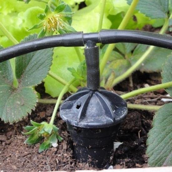 Iriso – Die 15 besten Produkte im Vergleich - Hausbauberater Ratgeber