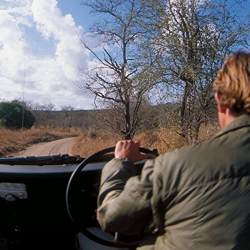 Play African Pictures by Dan Dewes, Glynn Storm & Grant McLachlan on ...