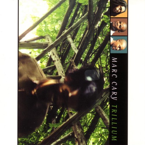 Amazon Musicでマーク・キャリー feat. Nasheet Waits & Tarus MateenのTrilliumを再生する