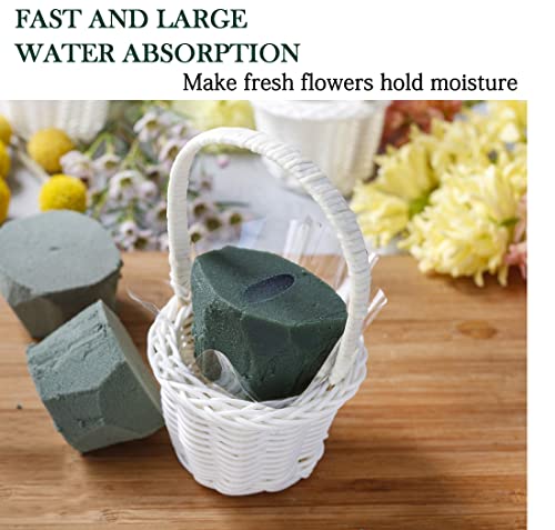 Wet Foam SupKing 8-Pack Floral Foam Blocks - 3.15 Inch Round Green Wet ...