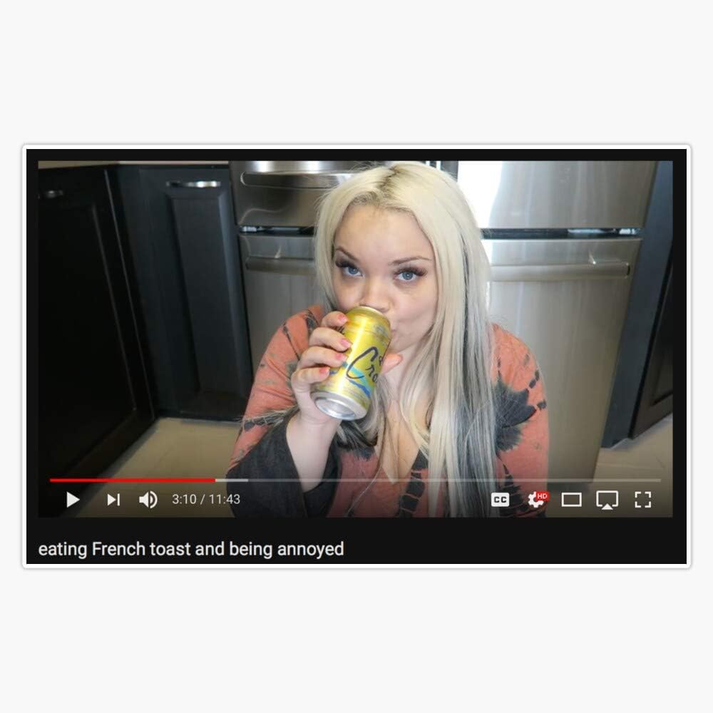 Amazon.com: Trisha Paytas Sticker Vinyl Bumper Sticker Decal Waterproof ...