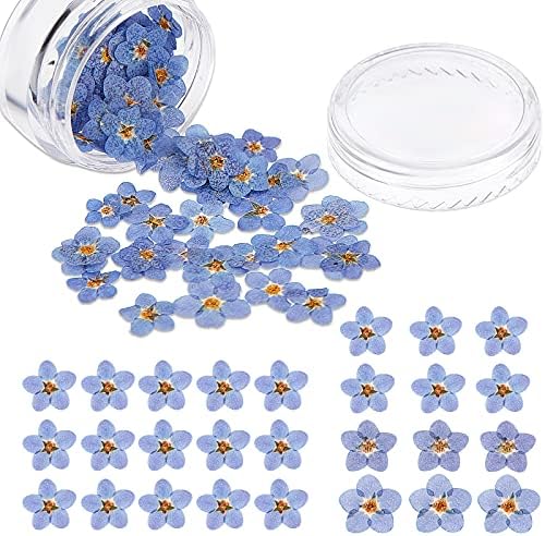 Amazon.com: Nuanchu Natural Forget-me-not Dried Flowers Don't Forget Me ...
