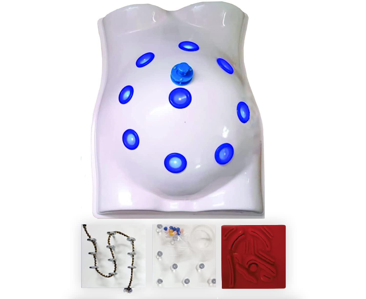 Buy GYNECOLOGY INSTRUMENTS Laparoscopic Virtual Video Endotrainer ...