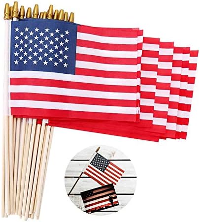Amazon.com : Peryiter 700Pcs Small American Flags on Stick 4 x 6" Mini ...