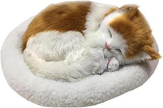 The Science Behind Big Cats' Silent Roar: Purring Explained | PetShun