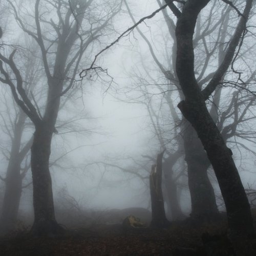Oddities: Chilling Tales From The Forgotten eBook : Lawrence, Ryan ...