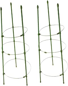 Amazon.com : OFFSCH Plant Support Cages 2 Sets Pergola Hoop Flowers ...
