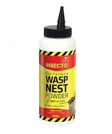 Insecto Wasp Nest Killer 300g - Professional Strength Wasp Nest Killer ...