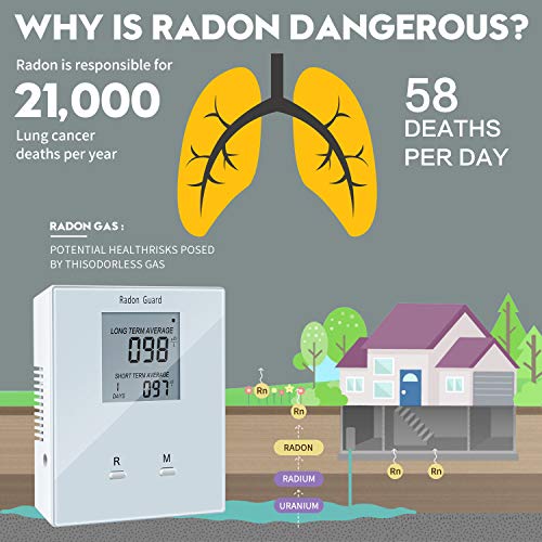 Snapklik.com : Home Radon Detector, Elifecity Portable Radon Meter ...