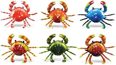Amazon.com: CoTa Global Squid Refrigerator Bobble Magnets Set of 3 ...