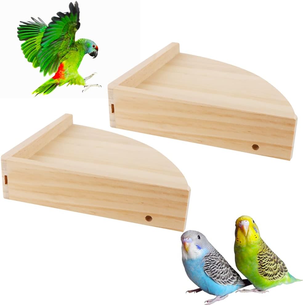 Amazon.com : Bird Perch Platform Stand Wood for Small Animals Parrot ...