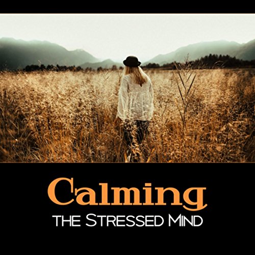 Play Calming the Stressed Mind – 111 Relaxing Songs, Panic Attacks ...