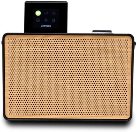 Pure Evoke Play portable Music System for indoor and outdoor (DAB+/FM ...