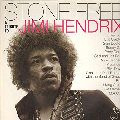 Stone Free - A Tribute to Jimi Hendrix [Vinyl LP] - : Amazon.de: Musik ...