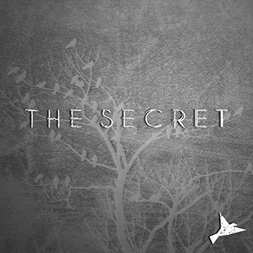 Amazon.com: The Secret : Flight Paths: Digital Music