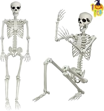 Amazon.com: LUKBERA Posable Halloween Skeletons, 1Pcs 5.9ft Life Size ...