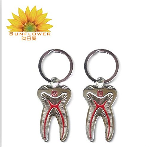 Amazon.com: 2pcs Dental Tooth Key Chain Oral Health For Key Car Bags ...