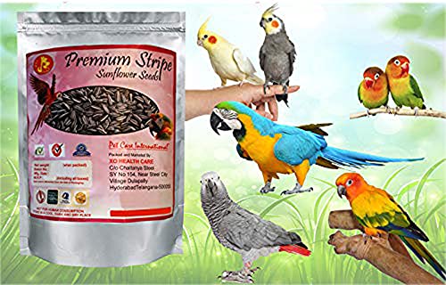 Buy Pet Care International (PCI) Premium Stripe Sunflower Seeds for All ...