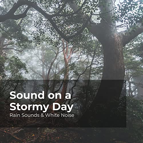 Sound on a Stormy Day von Rain Sounds & White Noise & Raindrops Sleep & Sleep Rain bei Amazon ...