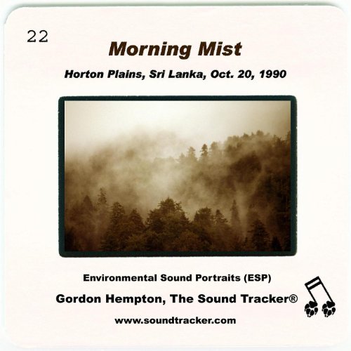 Play Morning Mist by Gordon Hempton on Amazon Music