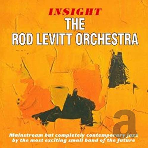LEVITT,ROD - Insight / Solid Ground - Amazon.com Music