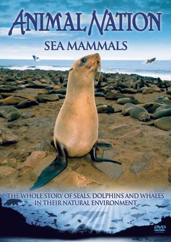Amazon.com: Animal Nation - Sea Mammals [DVD][UK Import] : Movies & TV