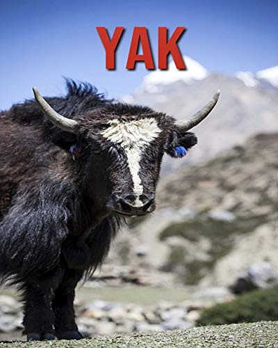 Buy Yak: A Children Pictures Book About Yak With Fun Yak Facts and ...
