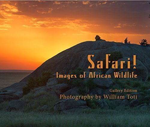 Safari! Images of African Wildlife: William Toti: Amazon.com: Books