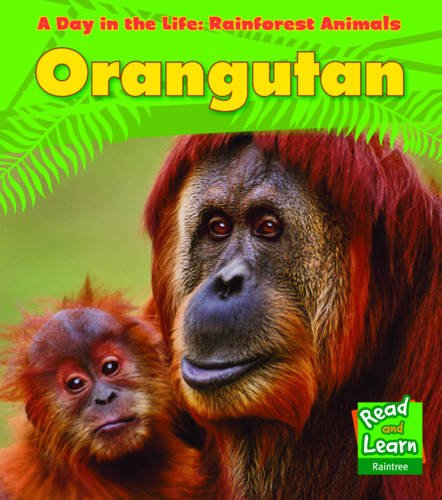 Rainforest Animals: Pack B: Ganeri, Anita: 9781406217902: Books - Amazon.ca