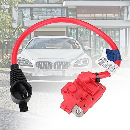 Amazon.com: 61129217036 Battery Positive Terminal Cable (Plus Pole ...