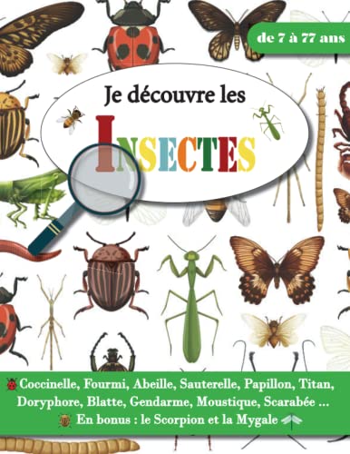 Les 5 meilleurs livres sur les insectes en 2022