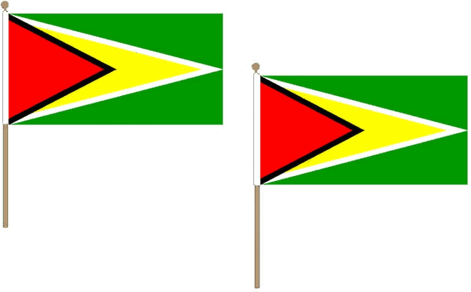 AZ FLAG Guyana Flag 12'' x 18'' Wood Stick - Guyanese Flags 30 x 45 cm ...