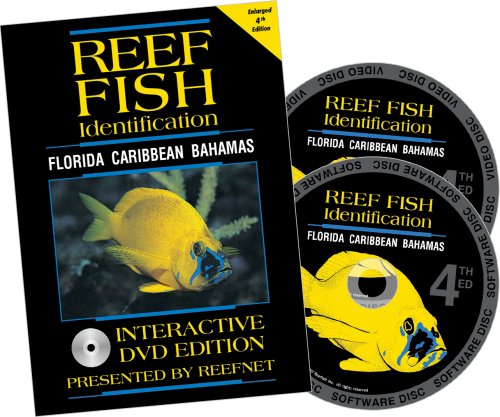 Reef Fish Identification: Florida, Caribbean, Bahamas - Interactive DVD ...